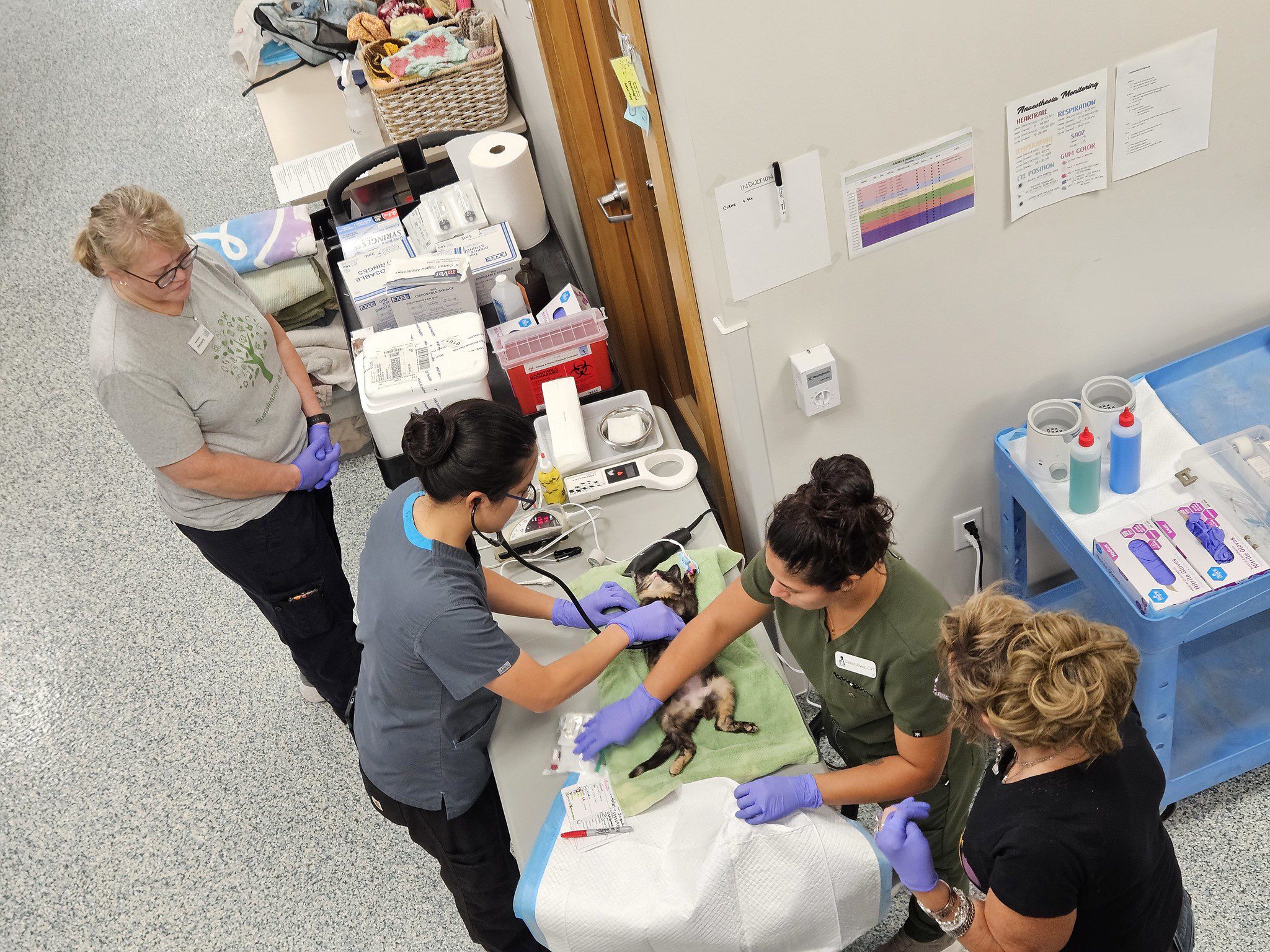 A Big Step Forward: Angel’s Wish Hosts First On-Site Surgery Day ...